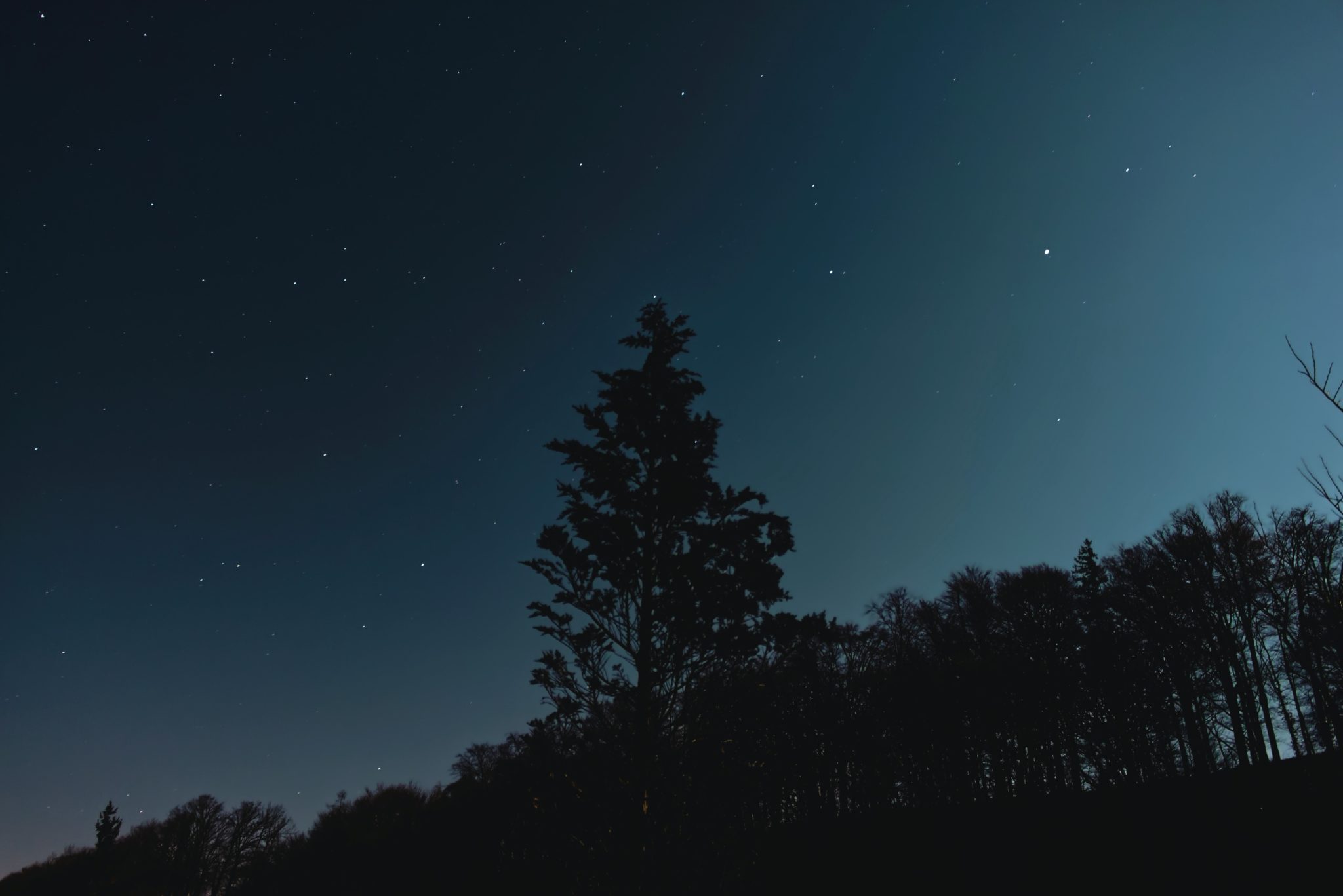 Arne Næss: Good living according to deep ecology - ethical.net